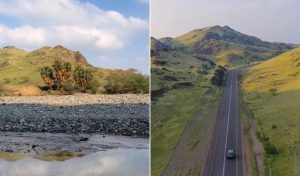 Saudi Arabia's Makkah Region Witnesses 600% Surge in Greenery